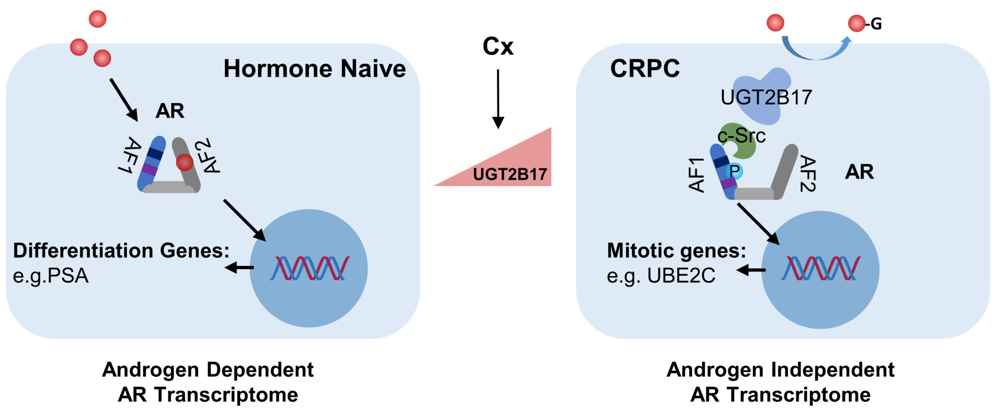Research – DONG Lab
